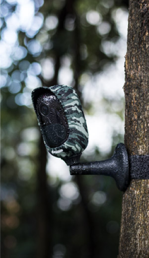 Reolink® Store: Dual-Lens Security Cameras | 150 Degree Ultra Wide View