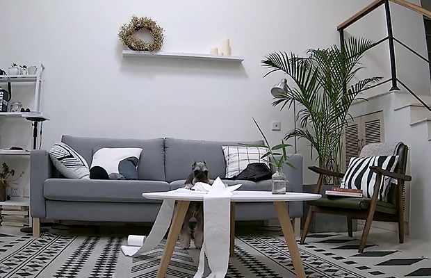 Argus 2E: Wire-Free Rechargeable Battery or Solar Powered Security Camera