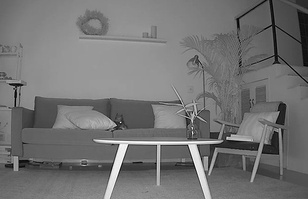 Argus 2E | Battery/Solar Powered Security Camera for Home